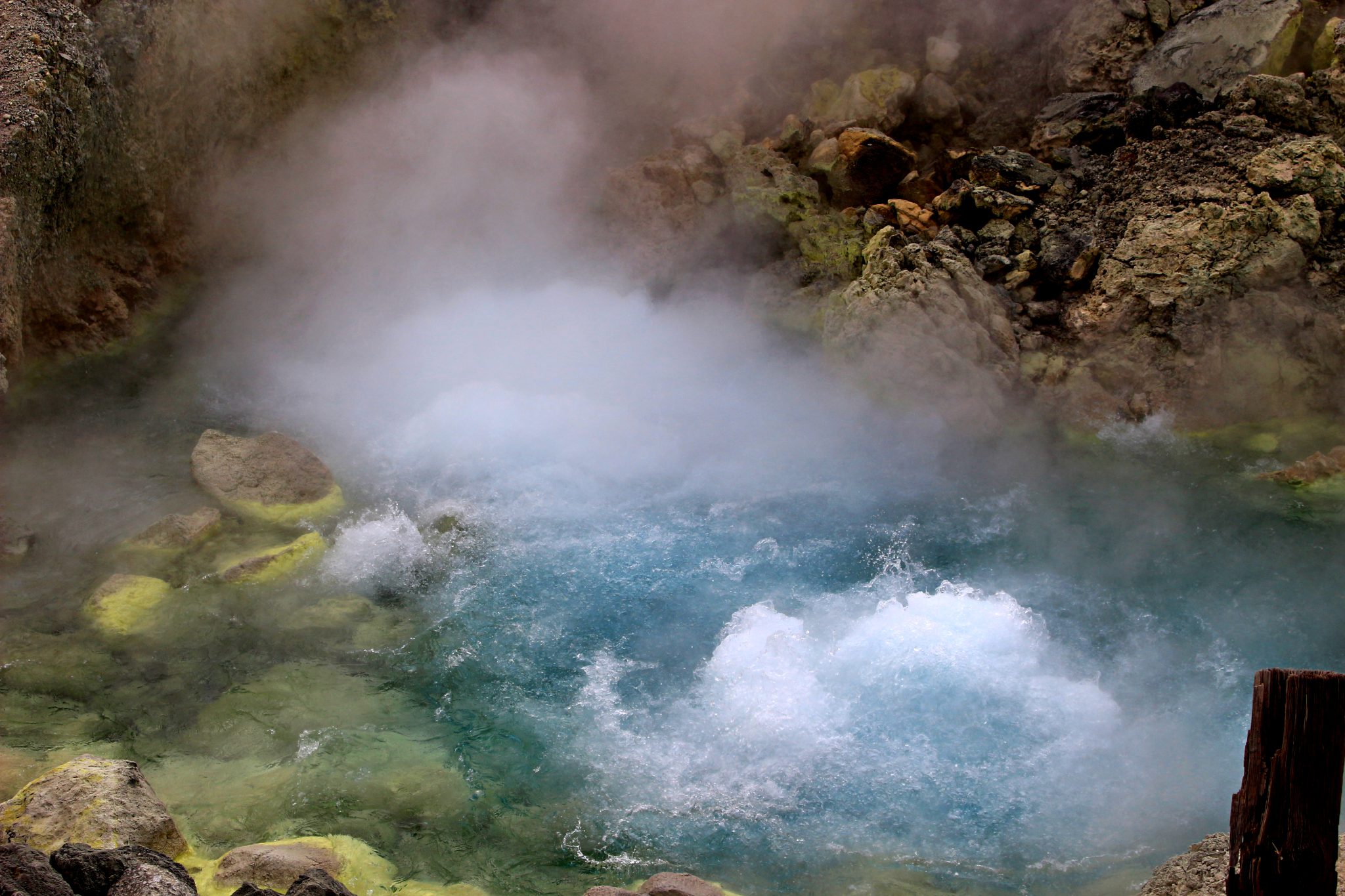 事業内容 - Le Furo